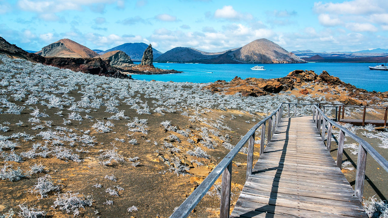 7 Night Galapagos Inner Loop Itinerary Cruise from Baltra Island ...