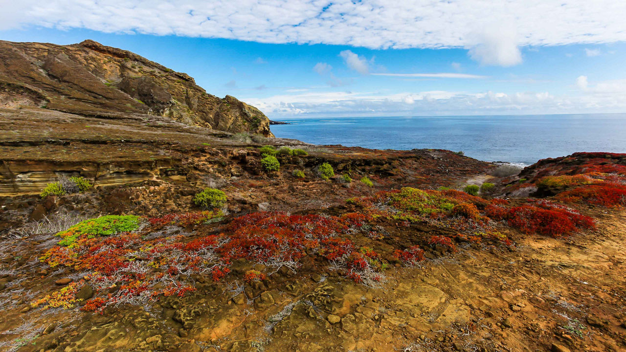 7 Night Galapagos Inner Loop Cruise from Baltra Island | Celebrity ...